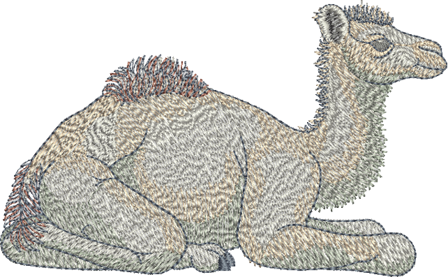 Camel Embroidery Motif - 01 - Sue Box Moroccan designs – Sue Box Creations